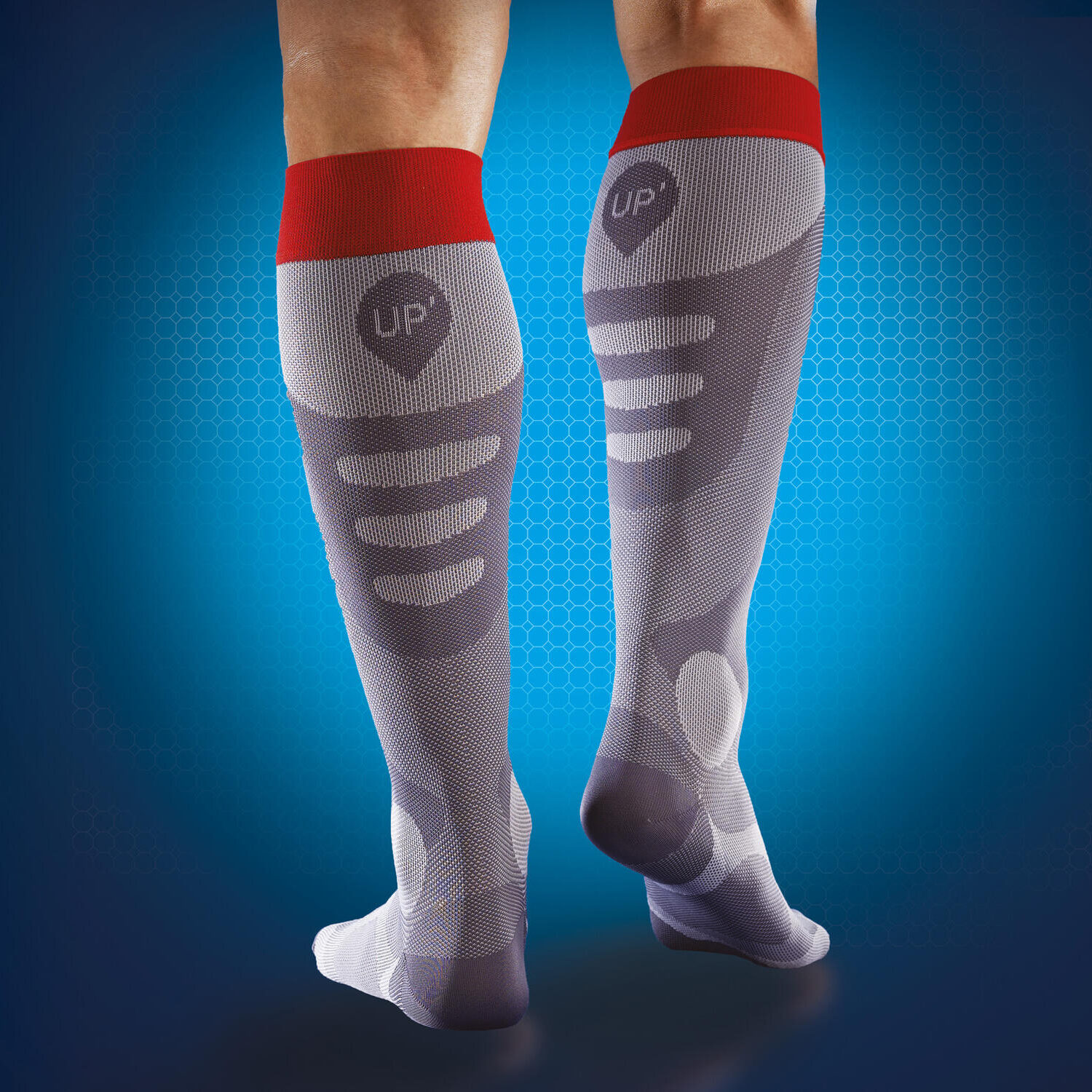 Catalogus - Bracewijzer